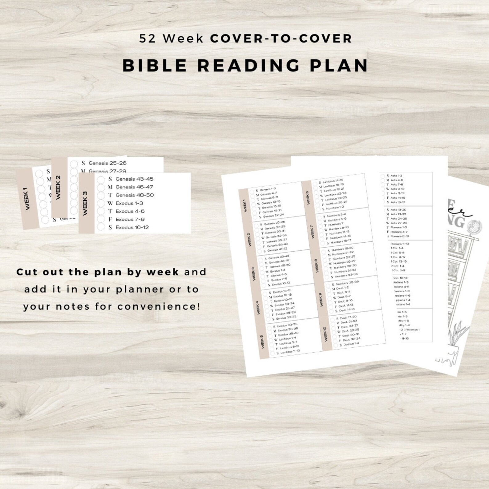 Cover to Cover Bible Reading Plan| Printable Bible in 1 Year Bible | 52 ...