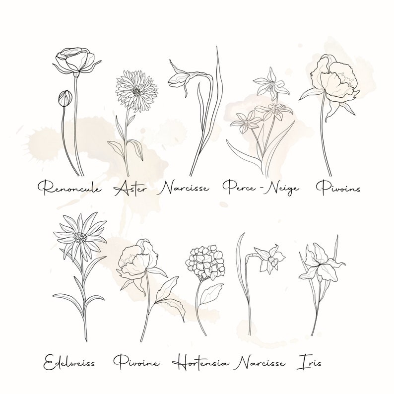 Garden Flowers Clipart/line Flowers Clipart/garden Flowers Svg/flower ...