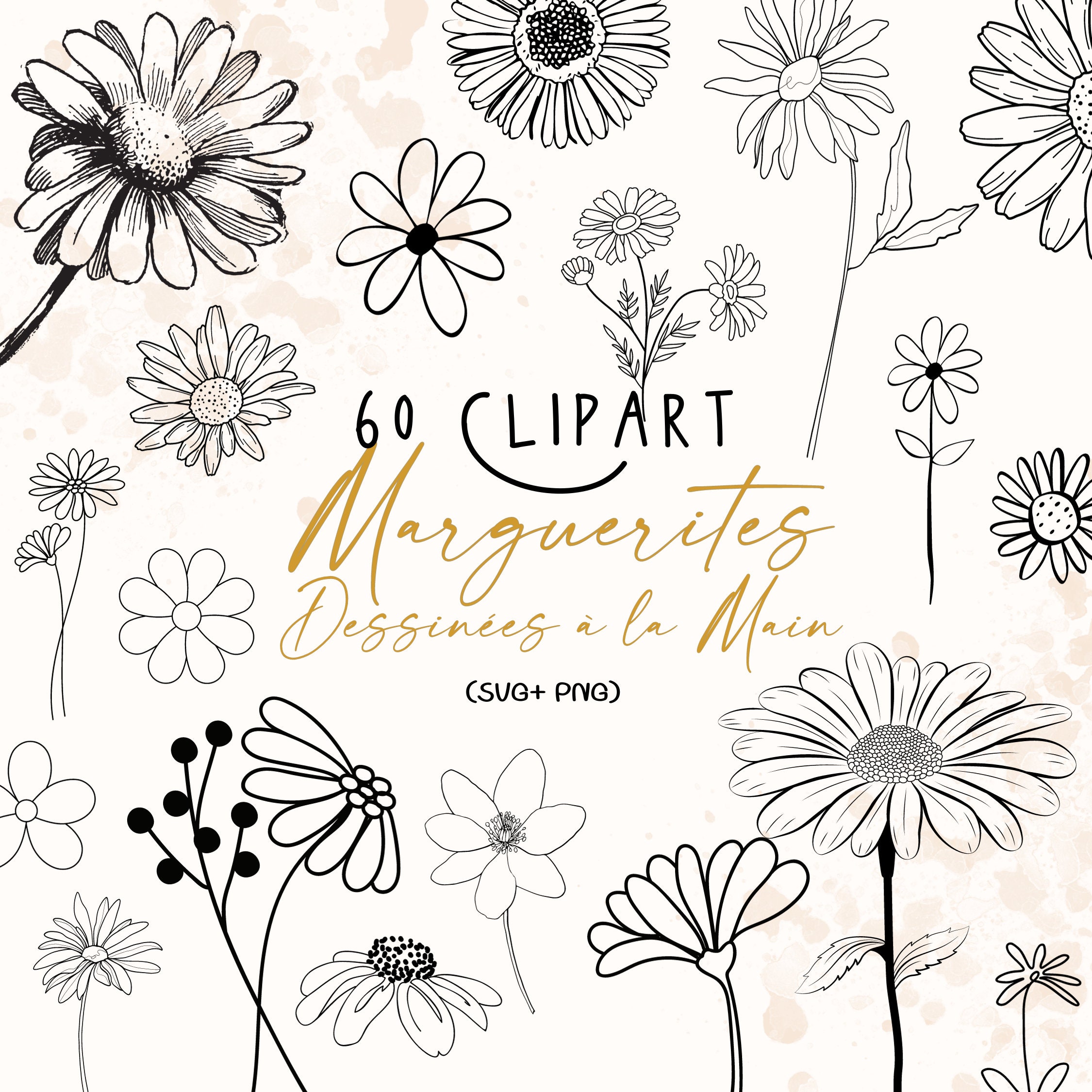 Daisies Line Clipart/daisy Line Clipart/garden Flowers Svg/flower Line ...