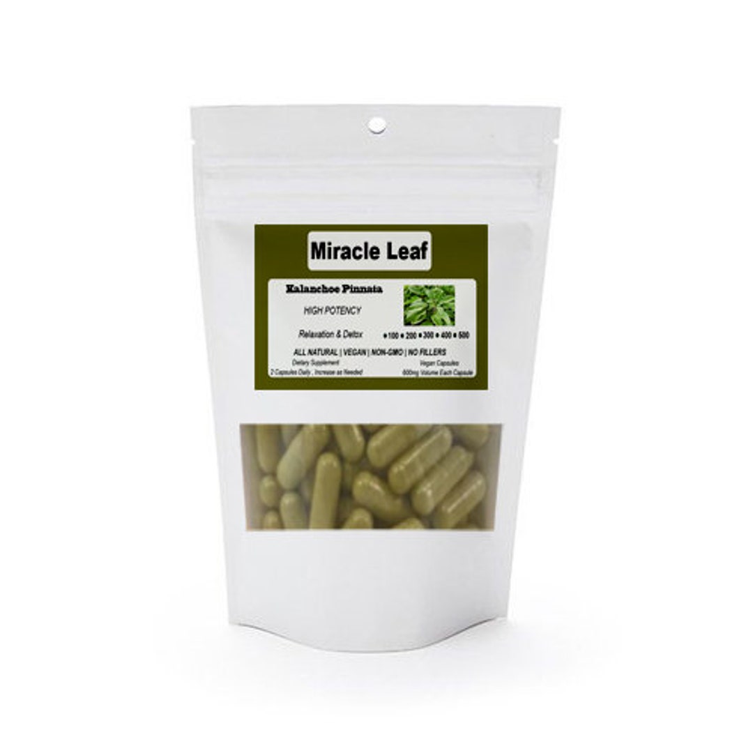 Miracle Leaf Capsules 600mg Kalanchoe Pinnata Miracle Leaf - Etsy