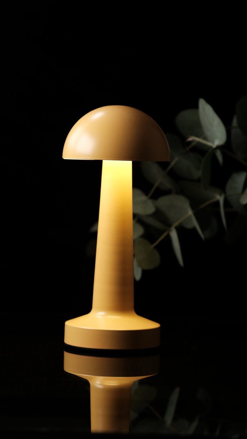 Rechargeable Touch Dimmer Desk Lamp: Metal Alloy, Baked Paint - Etsy