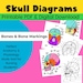 BUNDLE Skull and Skeletal System Anatomy PDF Printable Worksheet, Intro ...