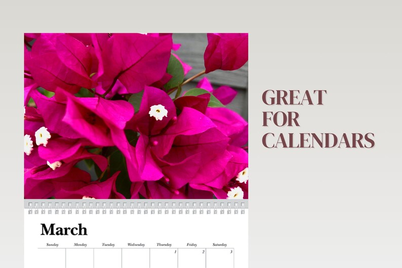 Hot Pink Bougainvillea Flower Photo Print | Tropical Floral Wall Art ...