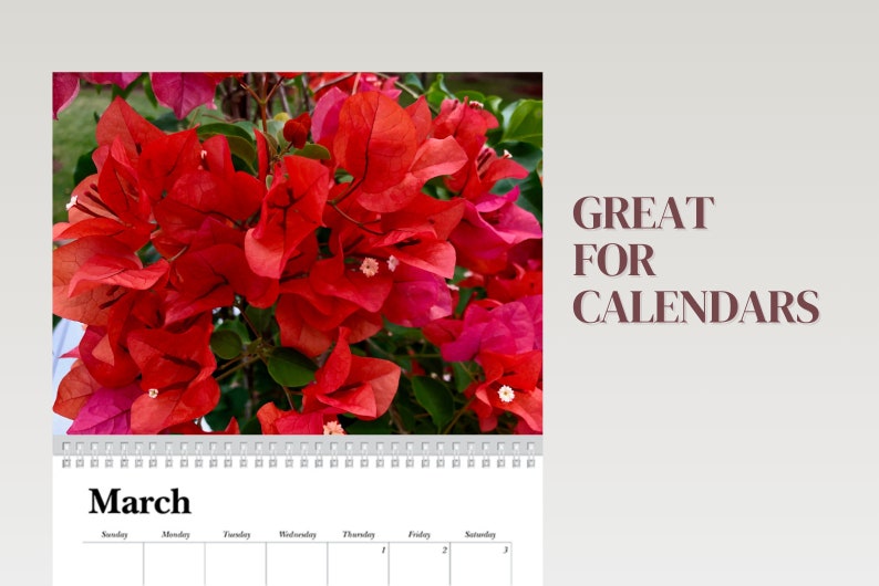 Red Bougainvillea Flower Photo Digital Download | Flower Wall Art | Red ...