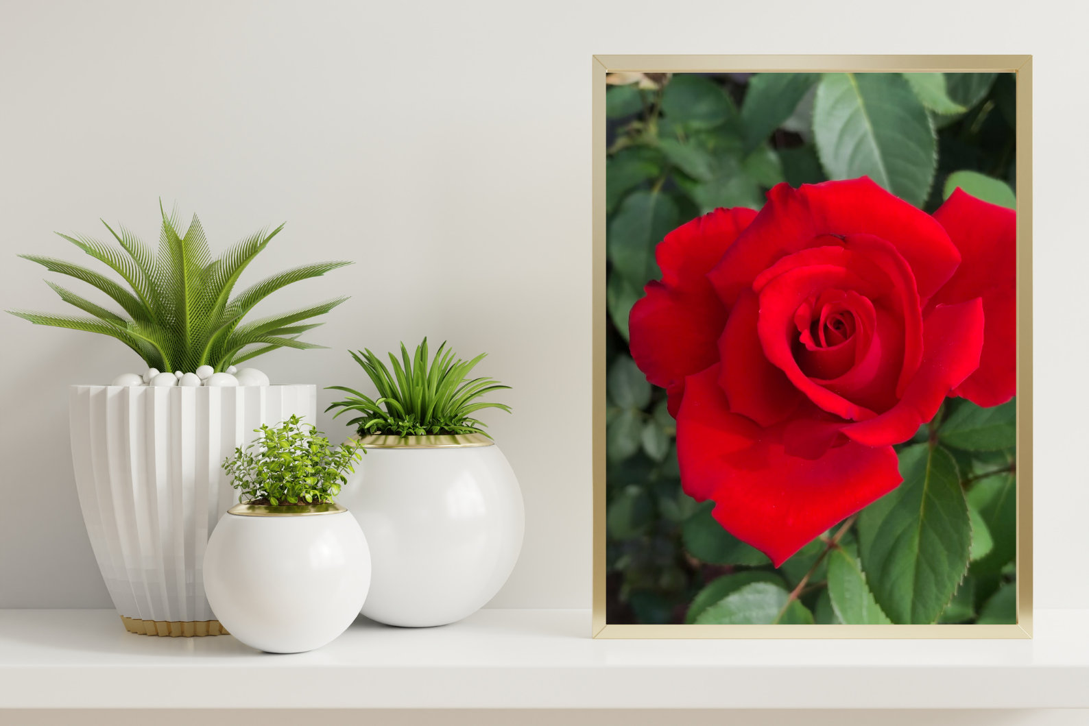 Deep Red Rose Flower Photo, Rose Flower Print/image, Flower Digital ...