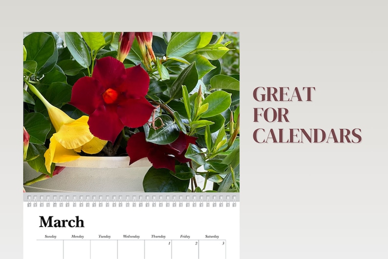 Red and Yellow Mandevilla Flower Photo Digital Download | Flower Wall ...