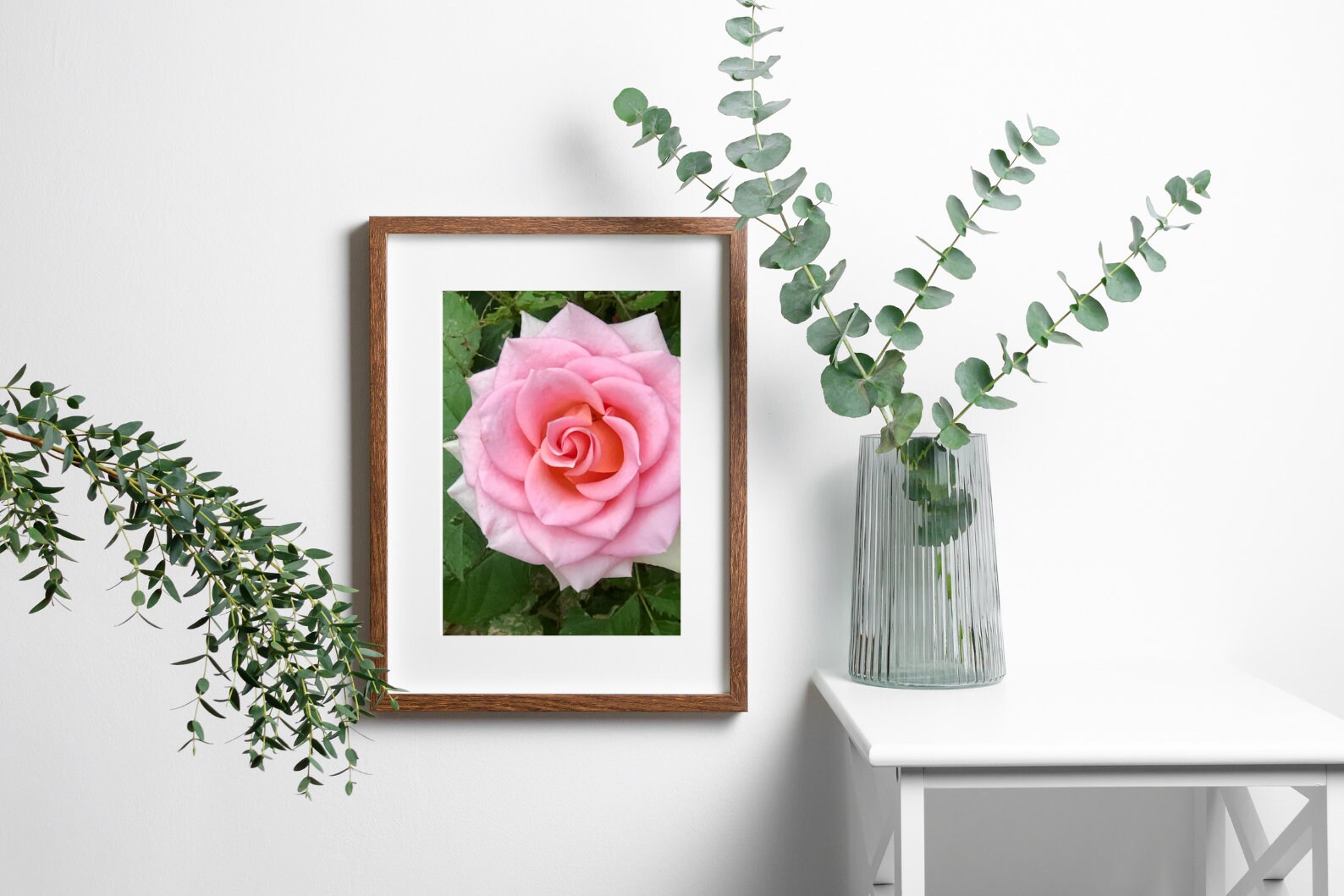 Pink Rose Flower Photo, Rose Floral Photo/image, Rose Flower Print ...