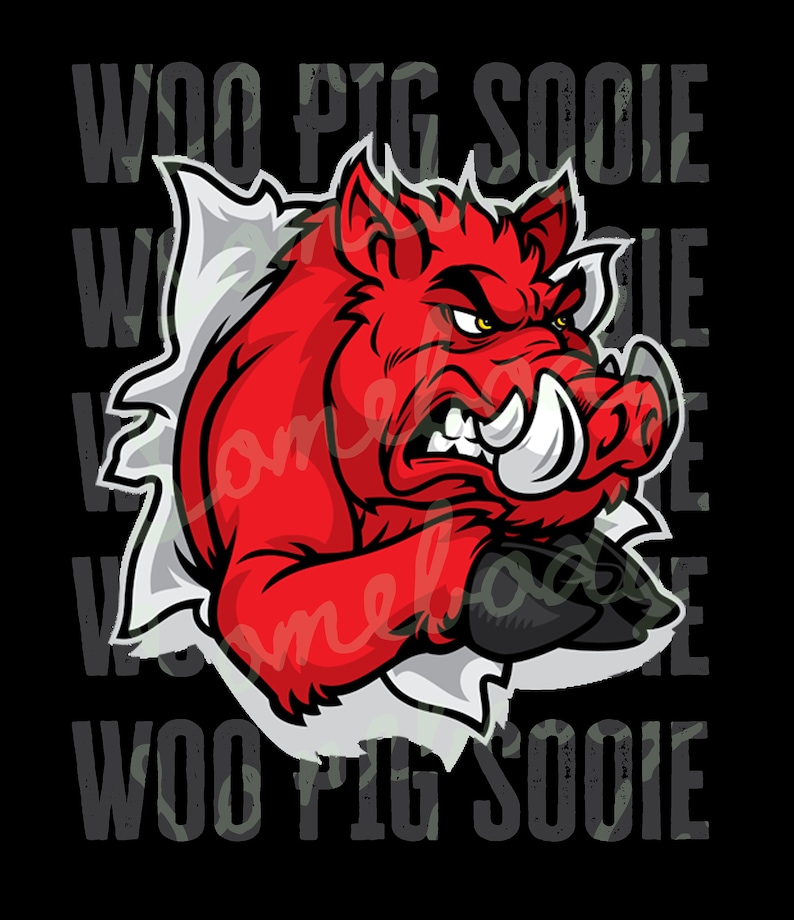 Arkansas Razorbacks Woo Pig Sooie Stacked With Razorback PNG SVG ...