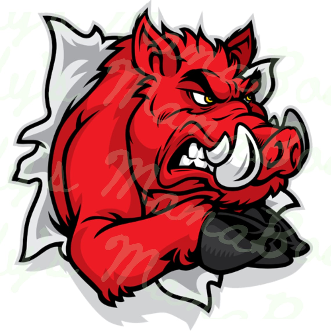 Arkansas Razorbacks Transparent Background Razorback PNG Digital Design ...