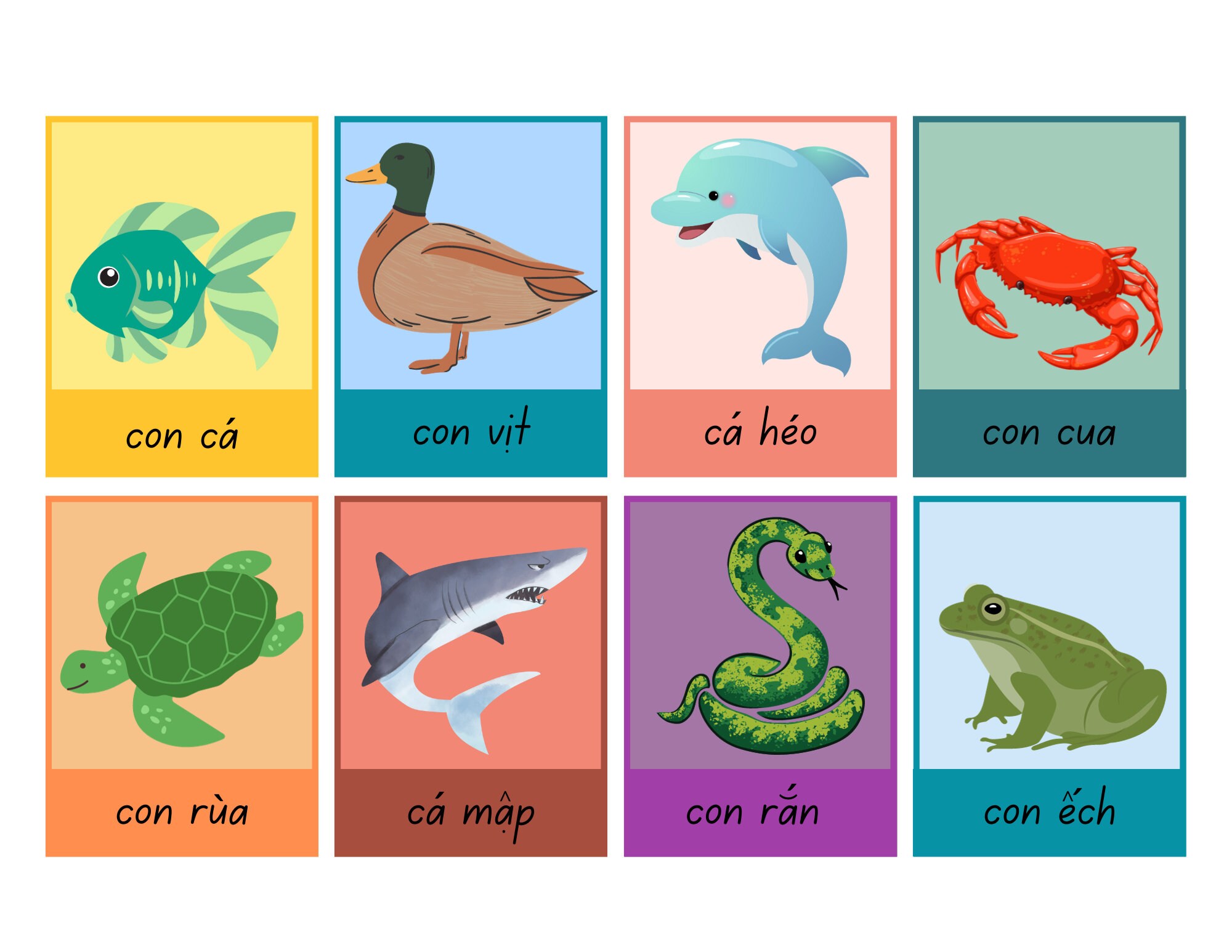 Vietnamese Kids Flashcards - Routine, Emotions, Weather, Animals, Fruit ...