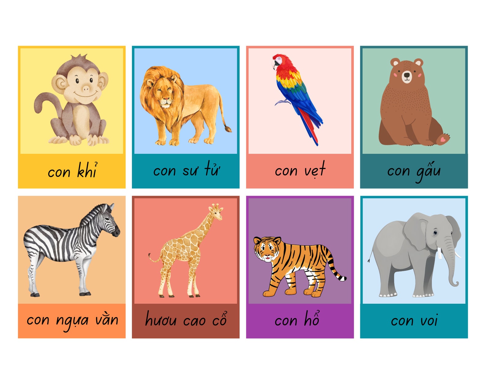 Vietnamese Kids Flashcards - Routine, Emotions, Weather, Animals, Fruit ...