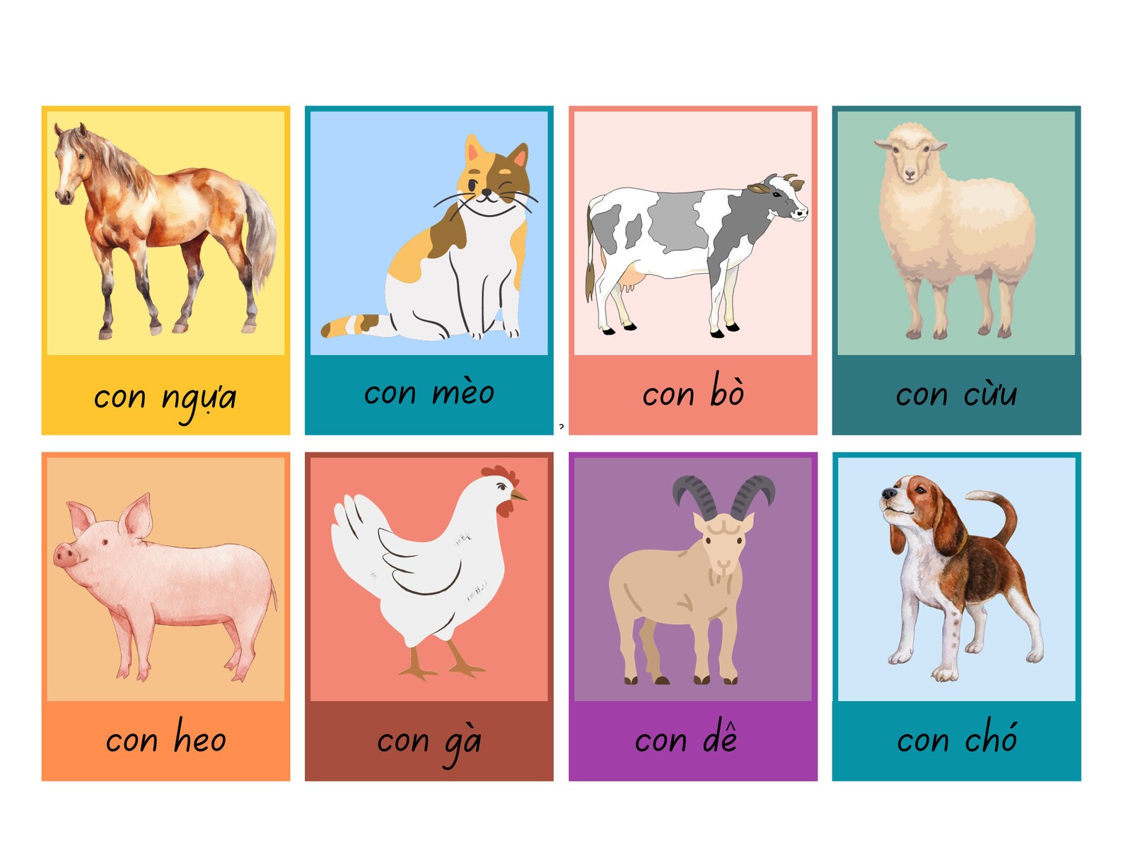 Vietnamese Kids Flashcards - Routine, Emotions, Weather, Animals, Fruit ...