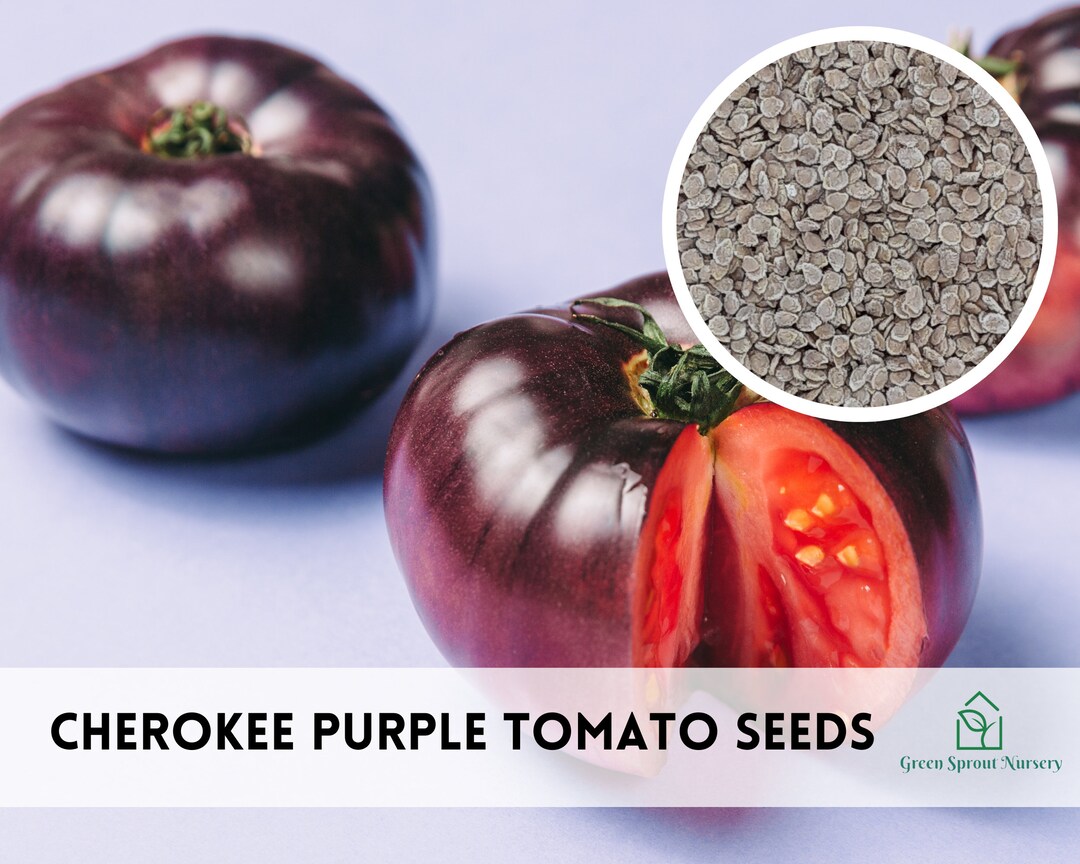Cherokee Purple Tomato Seeds, Heirloom Non-gmo (30+ Seeds) - Etsy