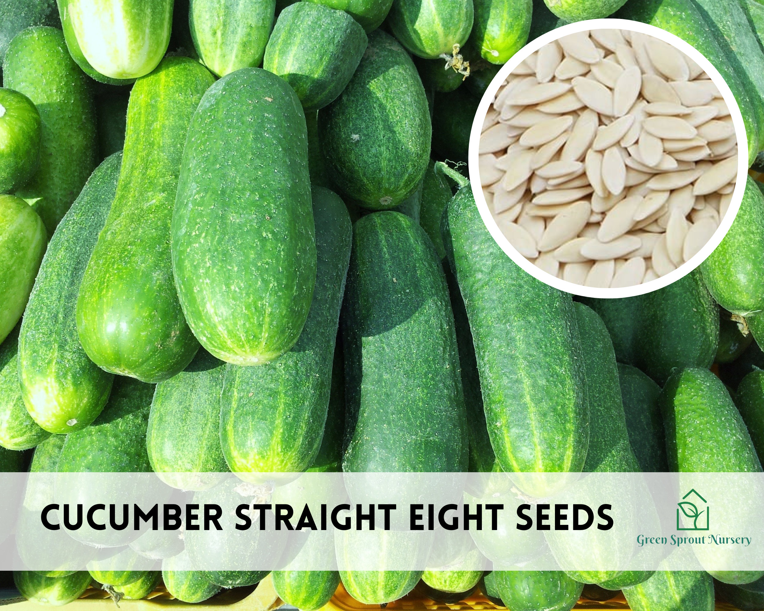 Cucumber, Straight Eight Seeds, Heirloom Non-gmo (50+ Seeds) - Etsy