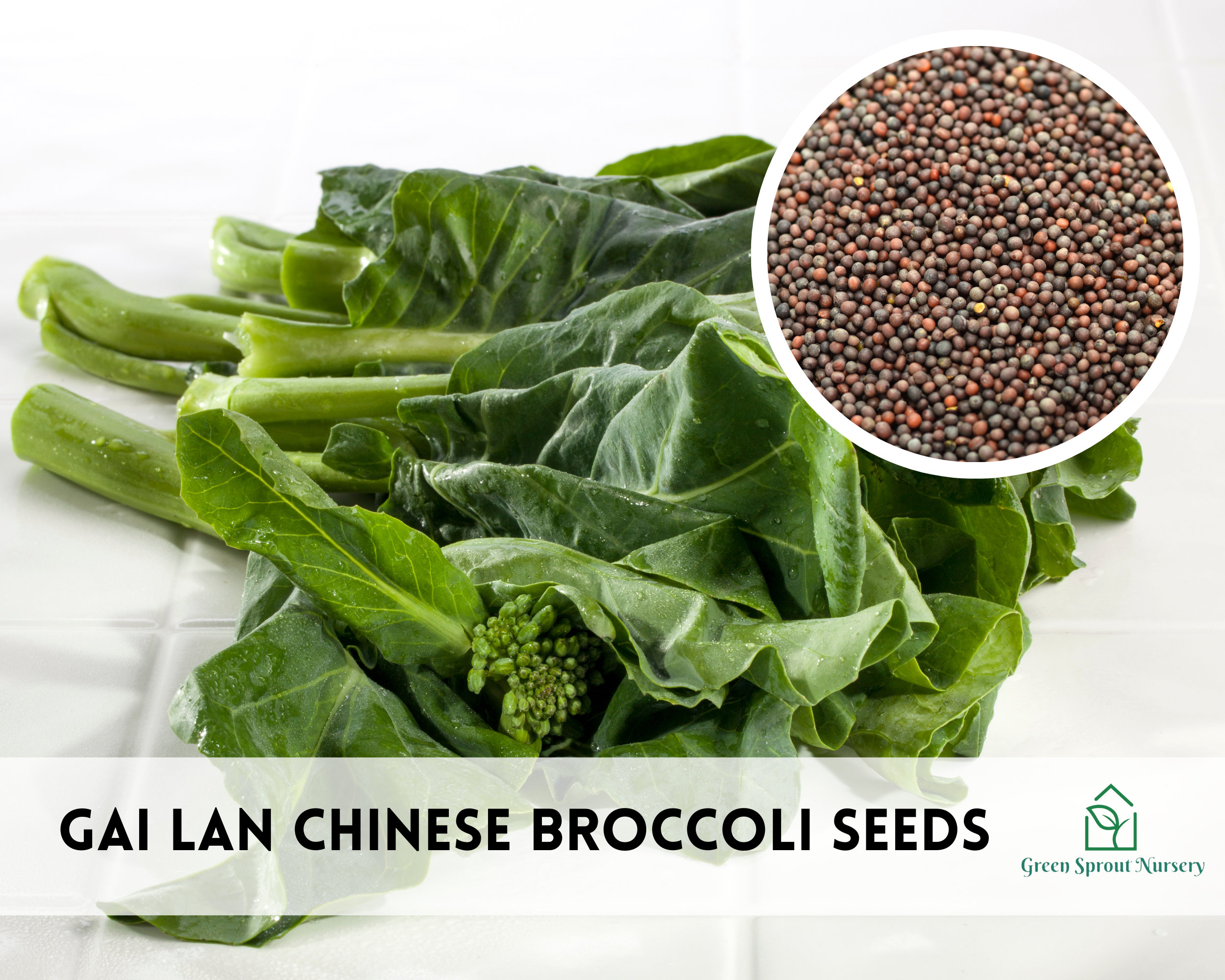 1200 Gai Lan Chinese Broccoli Seeds Heirloom Non-gmo - Etsy