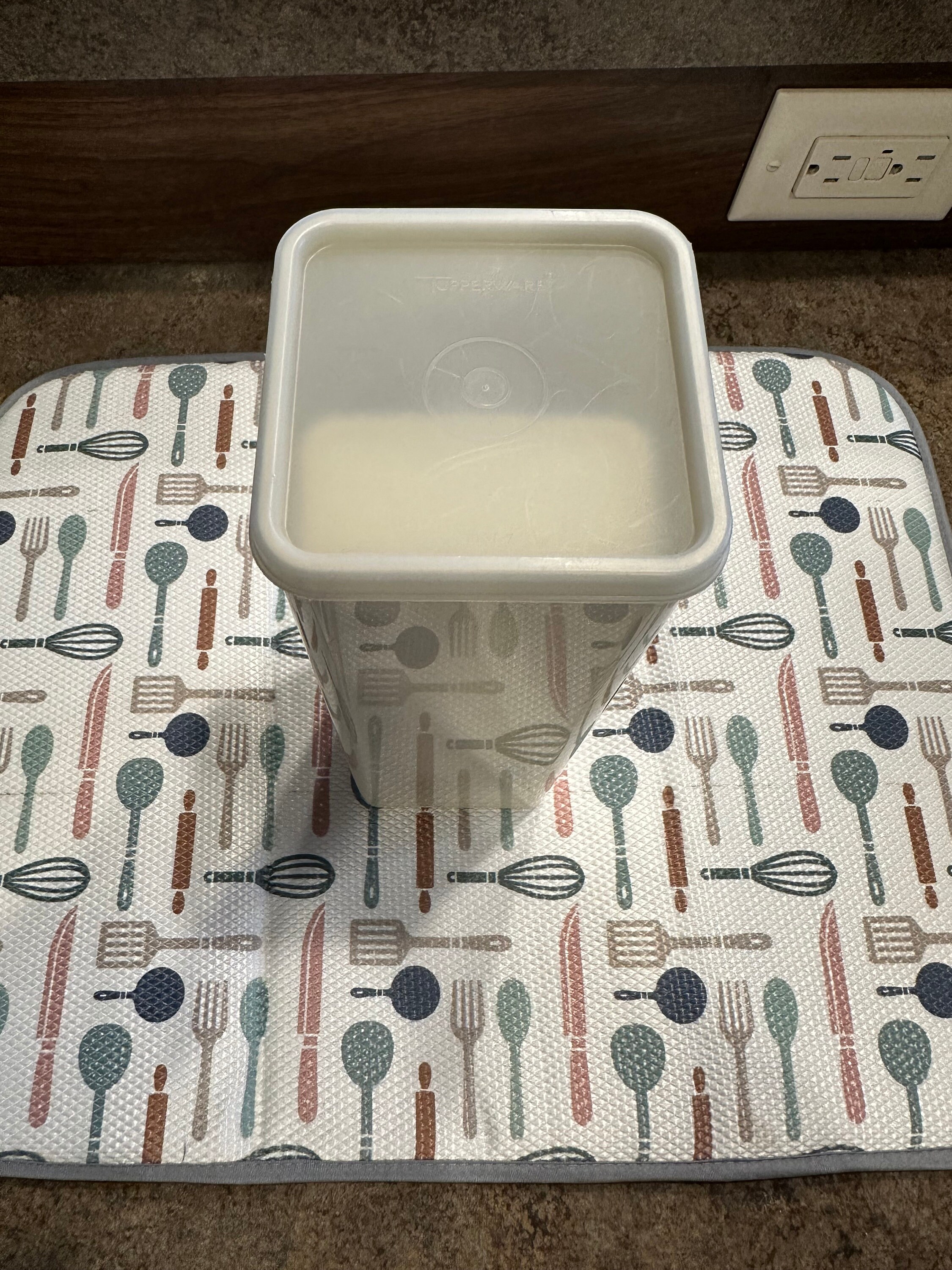 Vintage Tupperware Cheese Keeper - Etsy