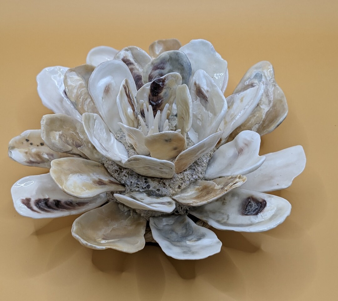 Small Oyster Shell Blossom - Coastal South Carolina -beach Decor - Etsy