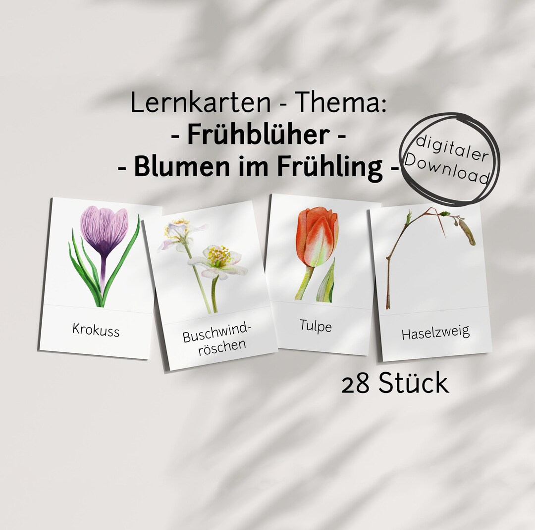 Early Bloomers Learning Cards PDF for Children – Picture Cards With ...