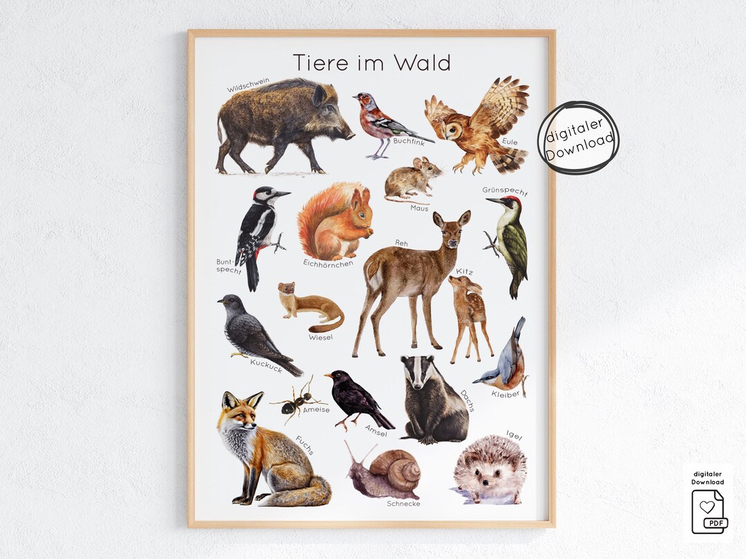 Forest Animals Poster PDF for Children – Picture Poster Animals in the ...