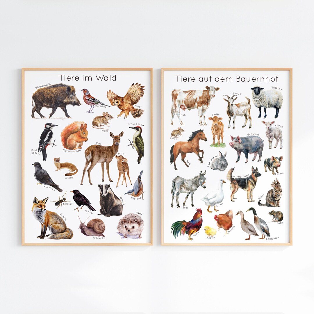 Forest Animals Farm Animals Poster PRINT for Children – Picture Poster ...