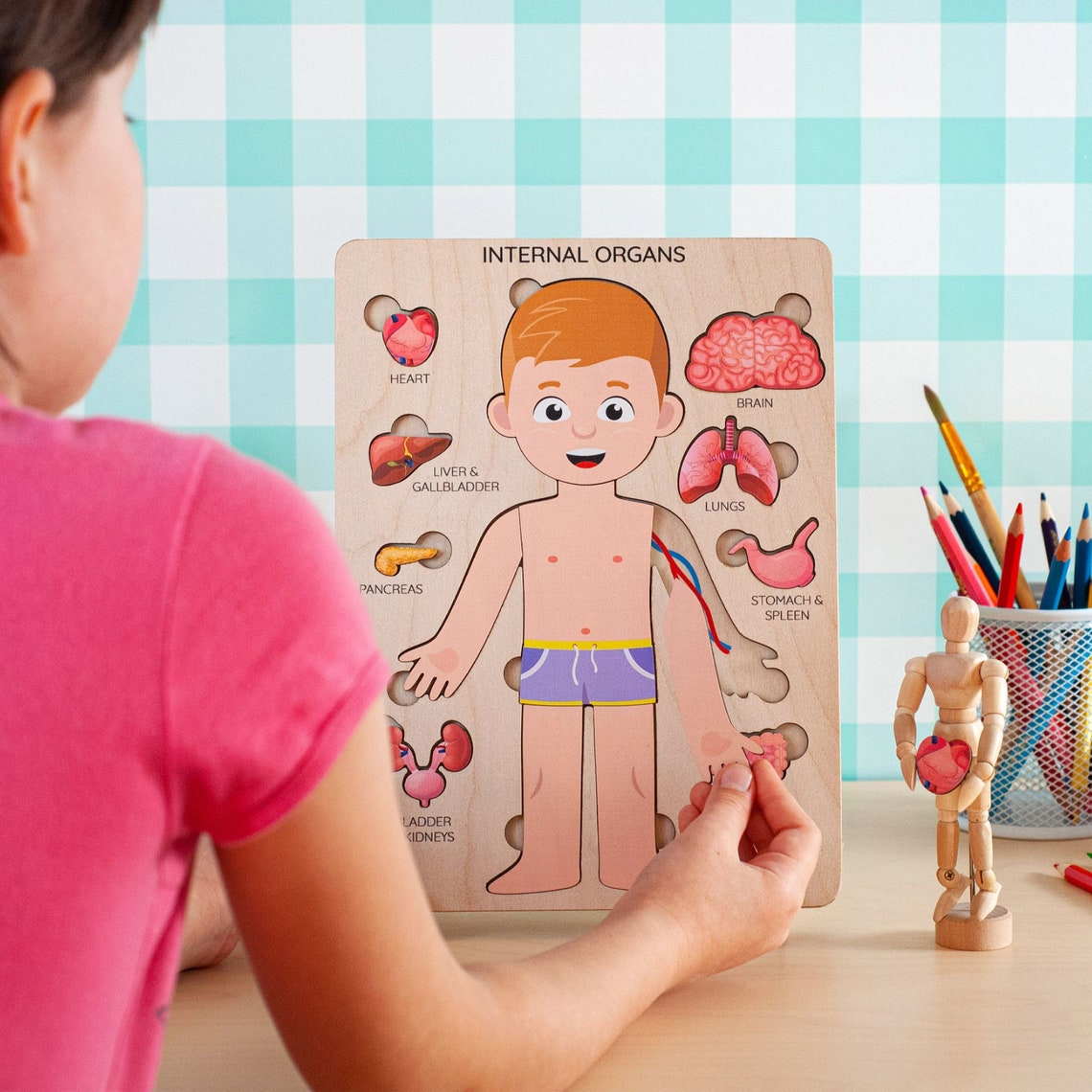 Internal Organs Wooden Puzzle, Human Body Matching Activity Wood ...