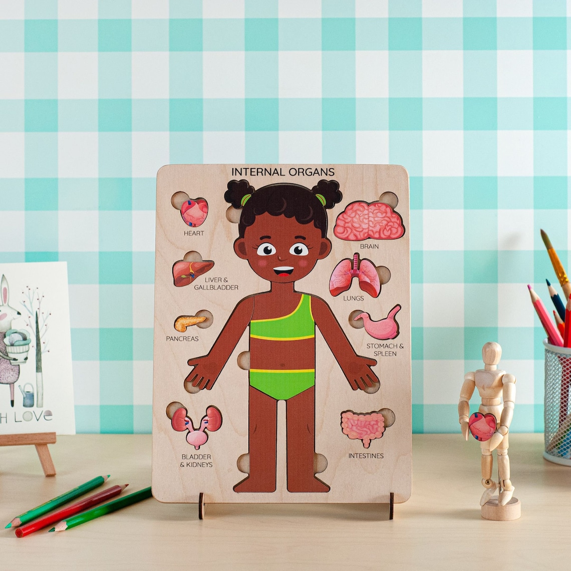 Internal Organs Wooden Puzzle, Human Body Matching Activity Wood ...
