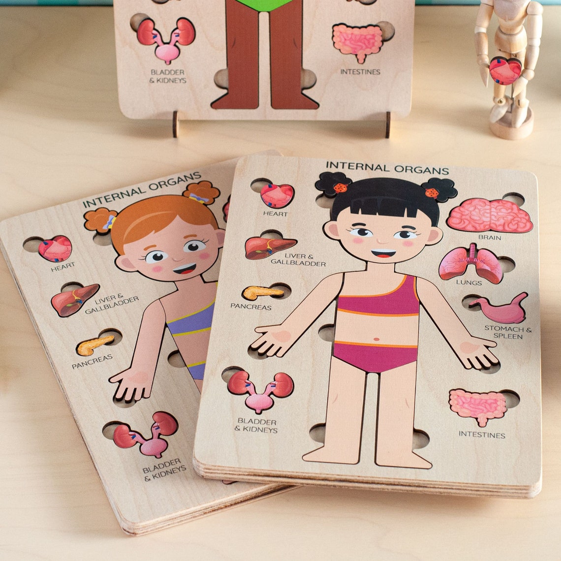 Internal Organs Wooden Puzzle, Human Body Matching Activity Wood ...