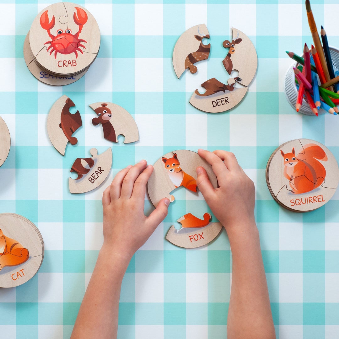 Flash Cards Memory Game Toddler, Matching Game for Kids, Toys Girls or ...