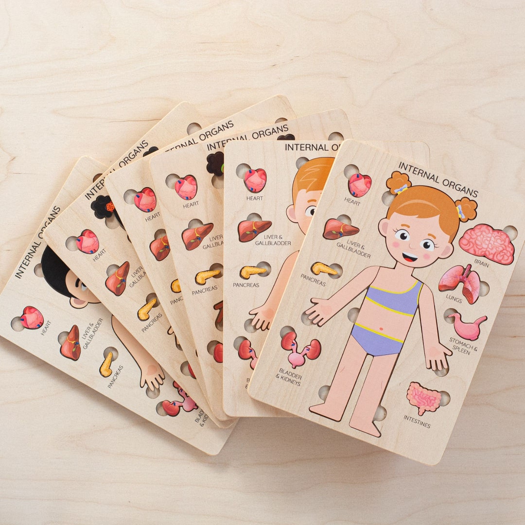 Internal Organs Wooden Puzzle for Kids, Wooden Toys for Boys or Girls ...