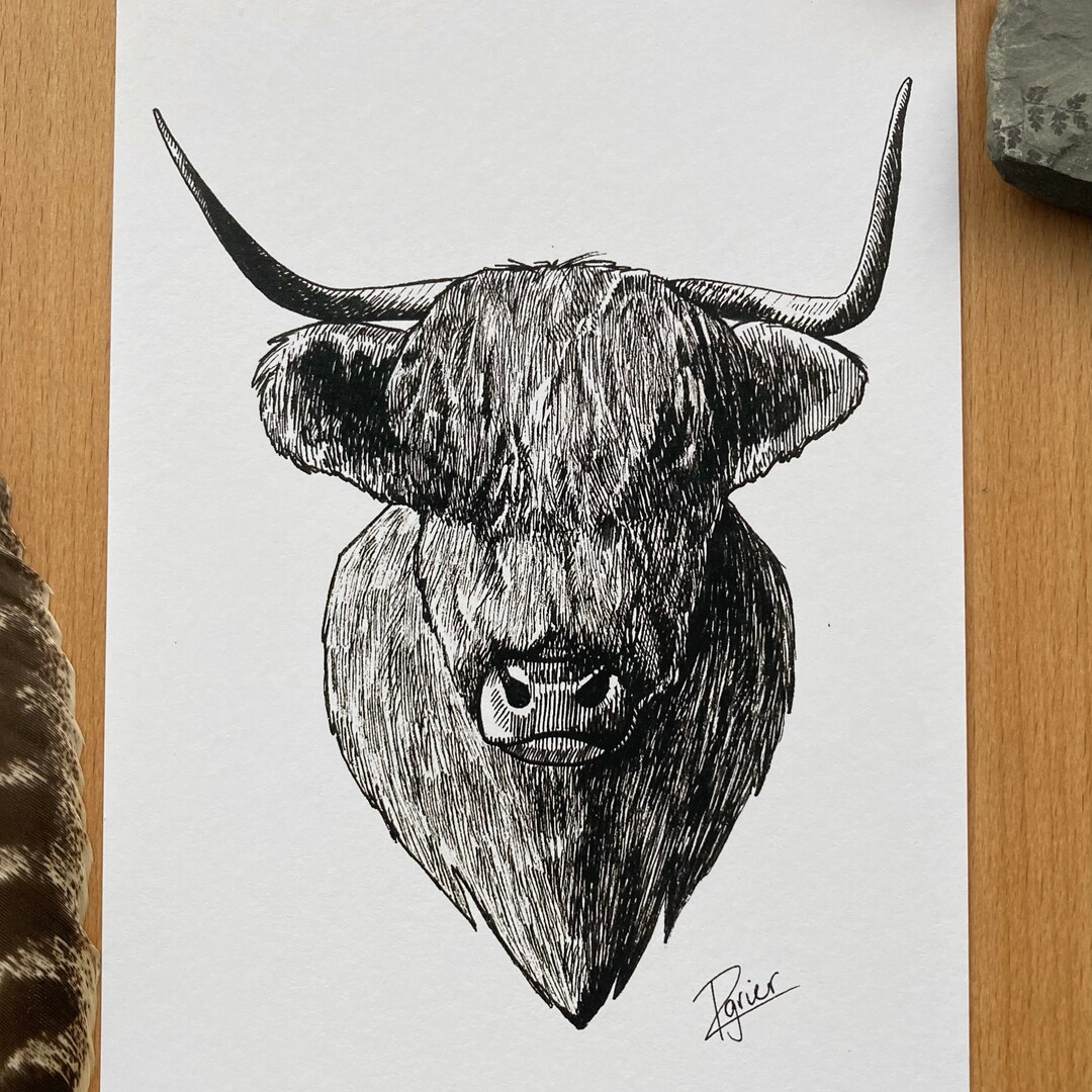 Highland Cow Ink Drawing hamish Needs a Hair Cut. Wildlife Art, Ink Art ...