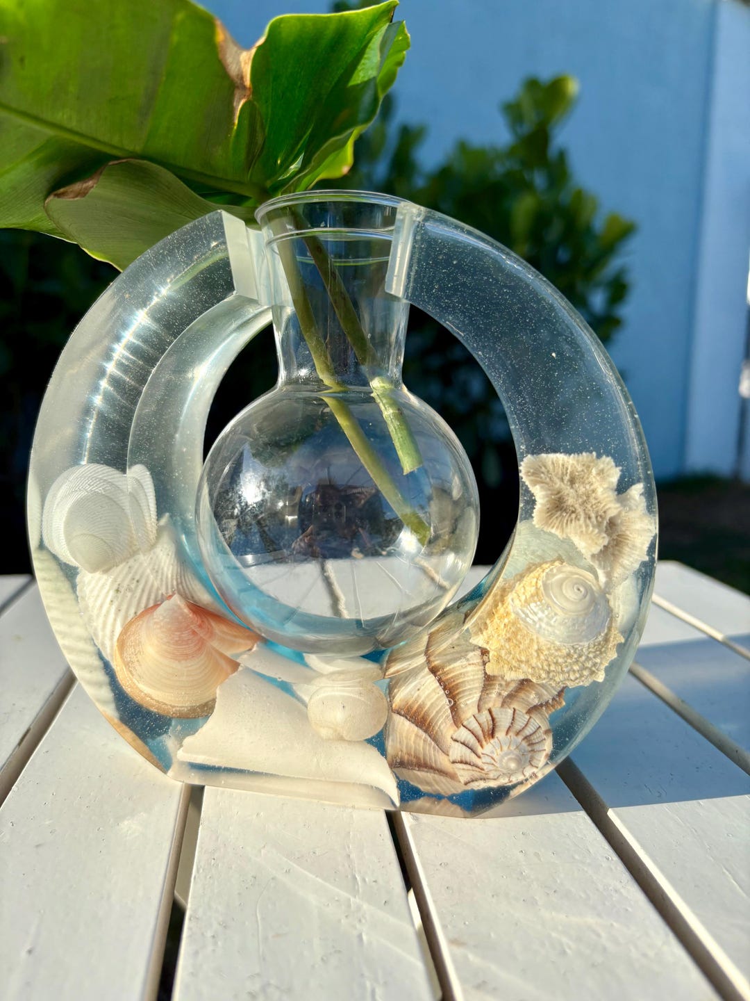 Light Blue Resin Seashell Plant Propagation Station - Etsy