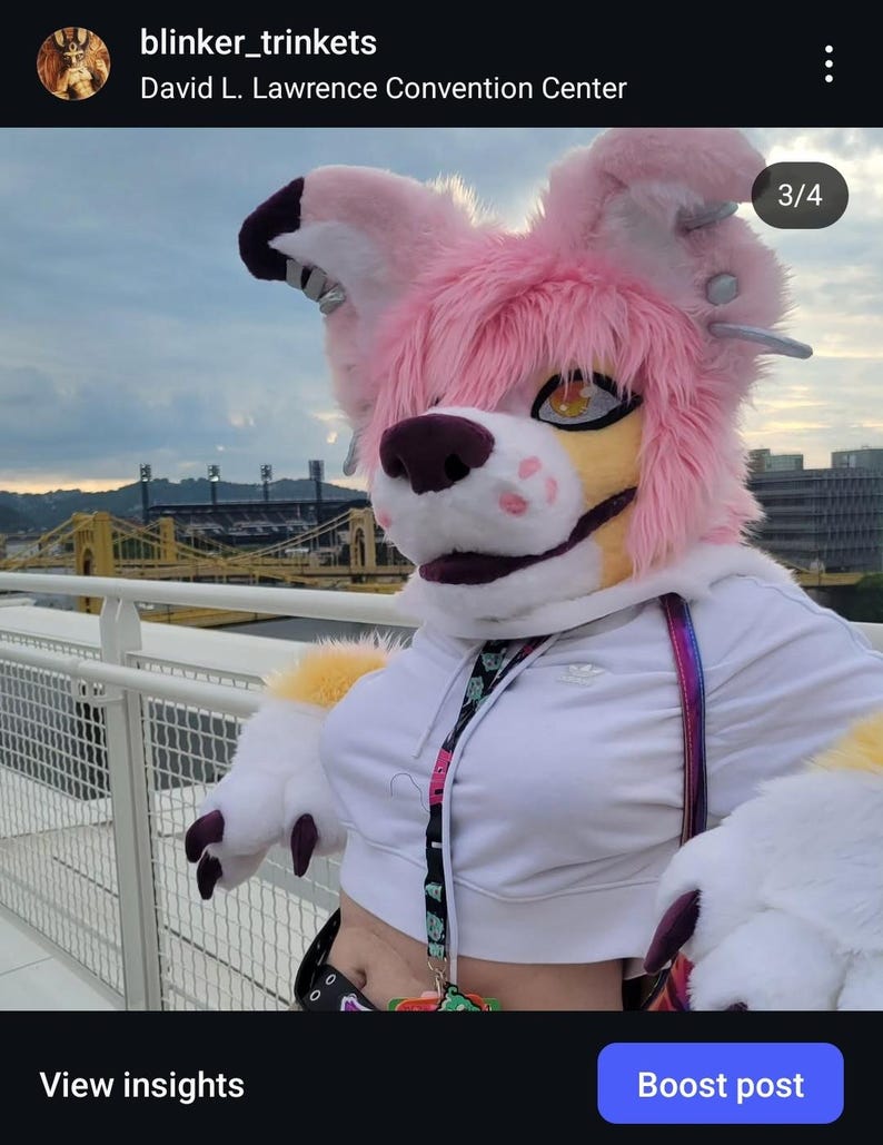 Custom Simple Fursuit Heads! - Etsy