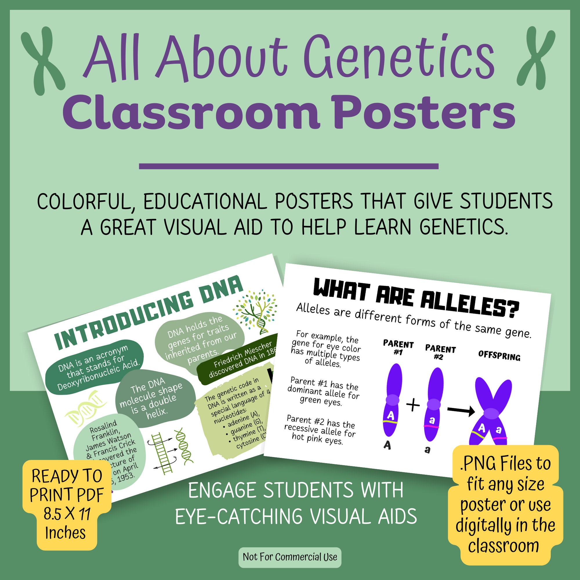 Genetics Posters Science Classroom Decor Middle School - Etsy