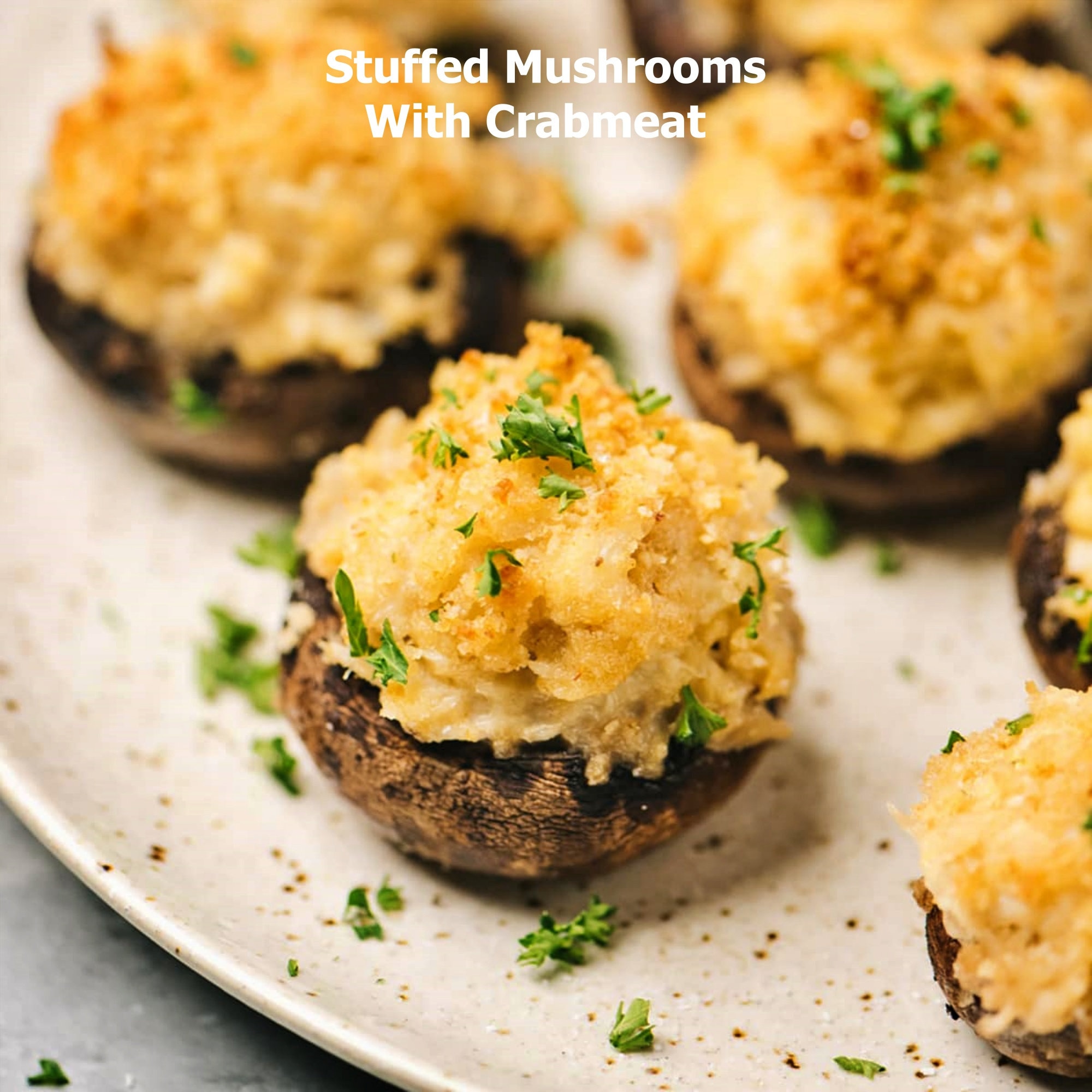 Appetizers: 500+ Delicious Appetizer Recipes, Finger Foods for Every ...
