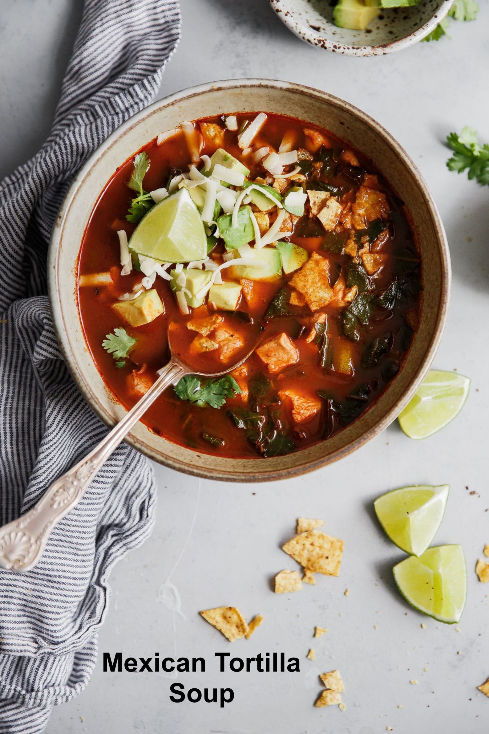 Soups, 250 Easy and Delicious Soup Recipes, Printable Cookbook PDF ...