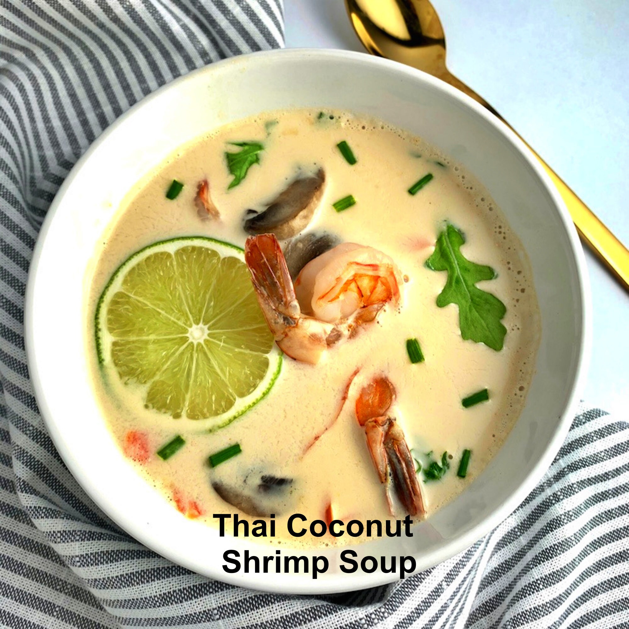 Soups, 250 Easy and Delicious Soup Recipes, Printable Cookbook PDF ...