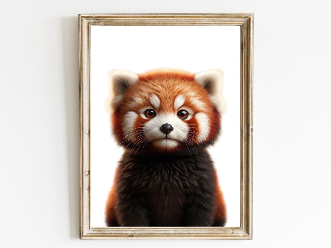 Baby Red Panda Portrait, Realistic and Cute, Ideal for Home and Nursery ...
