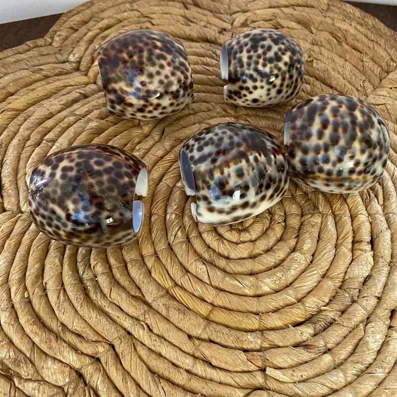 Tiger Cowrie - Etsy