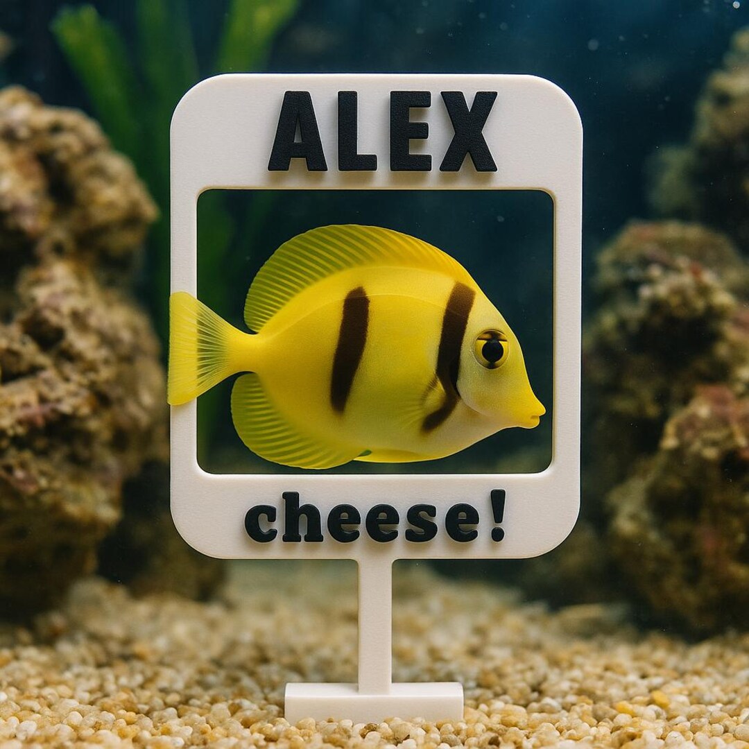 Aquarium Decor, Fish Name Tag, Personalized Aquarium Sign, Betta Fish ...