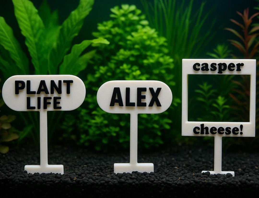 Fish Name Tag, Personalized Aquarium Sign, Betta Fish Nameplate, Fish ...