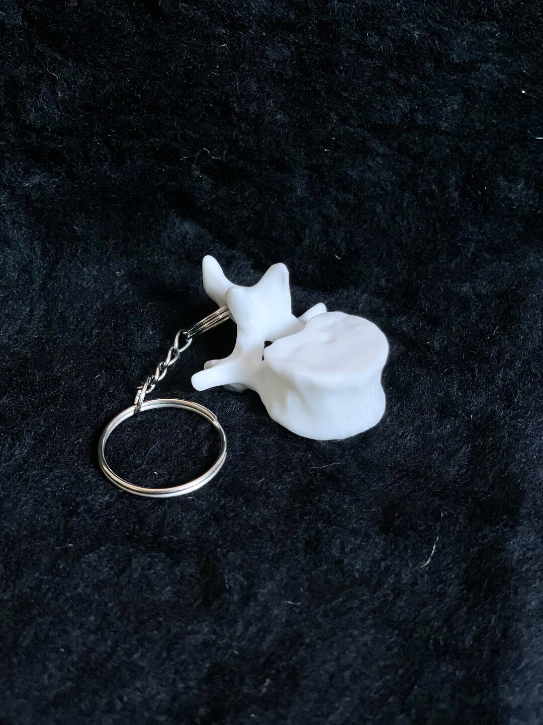 Lumbar Spine Vertebra Keychain | Anatomy | Doctor | Anatomical | Bone ...