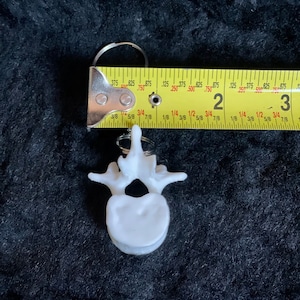 Lumbar Spine Vertebra Keychain | Anatomy | Doctor | Anatomical | Bone ...