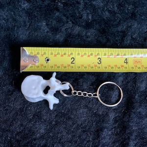 Lumbar Spine Vertebra Keychain | Anatomy | Doctor | Anatomical | Bone ...