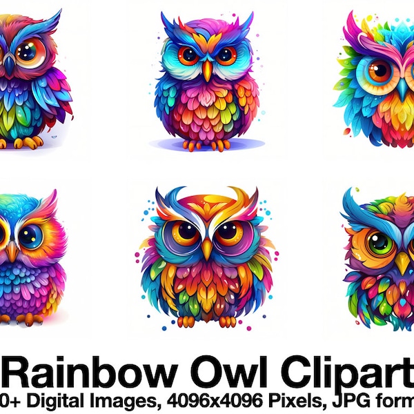 Rainbow Owl - Etsy
