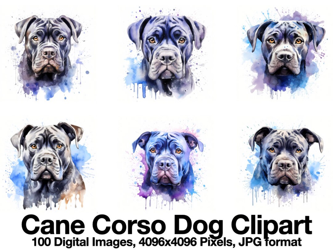 Cane Corso Dog Clipart 100 High-resolution Watercolour Wall Art Jpgs ...