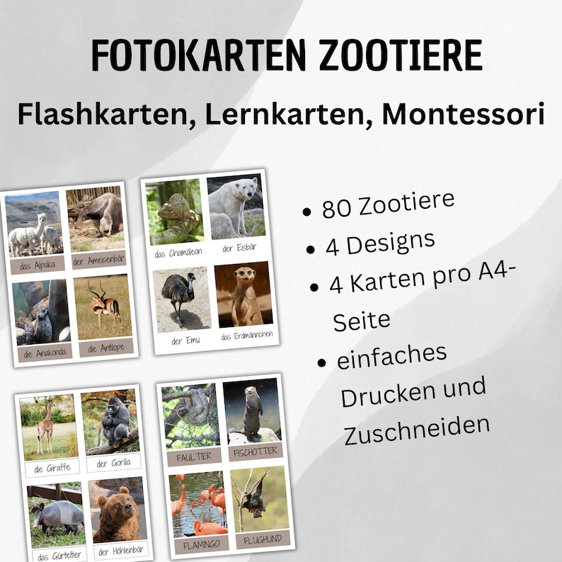 Learning Cards: Zoo Animals / Flash Cards / Montessori / Flash Cards - Etsy