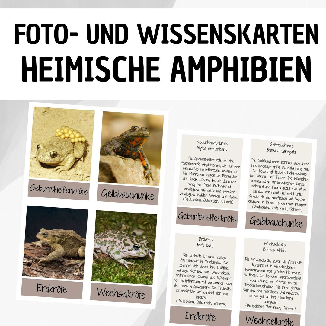 Knowledge Cards: Amphibians / Flash Cards / Montessori / Flash Cards - Etsy