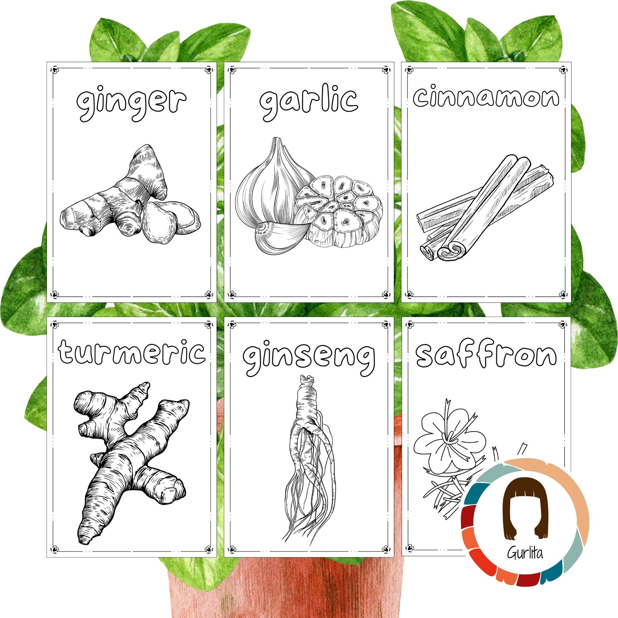 Coloring Pages: Herbs & Spices / Montessori / Vocabulary / Coloring ...
