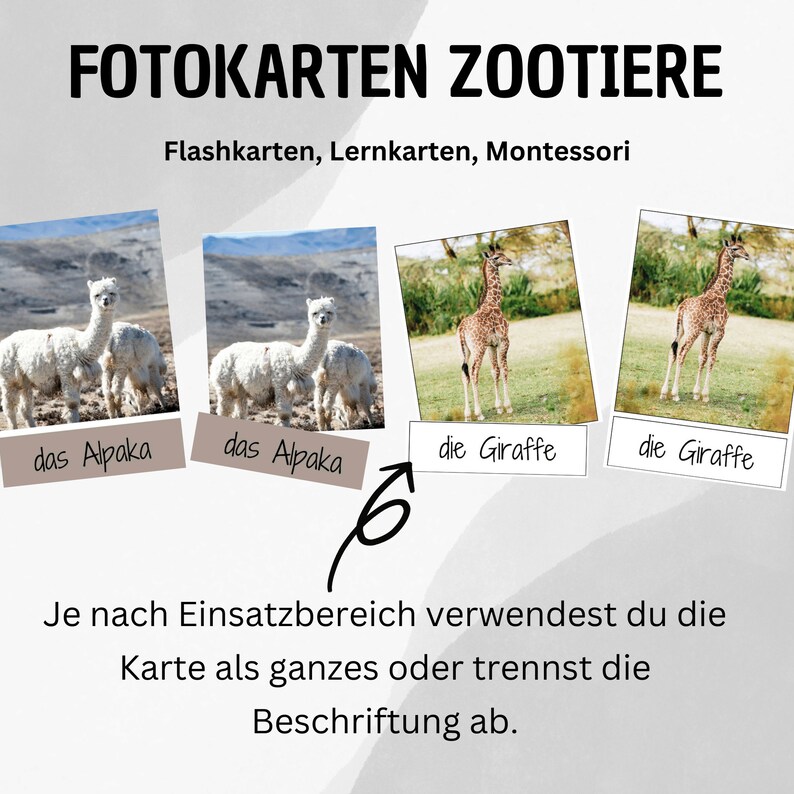 Learning Cards: Zoo Animals / Flash Cards / Montessori / Flash Cards - Etsy