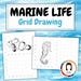 Learn to Draw: Grid Technique - 20 Sea Creatures - Whales, Dolphins ...